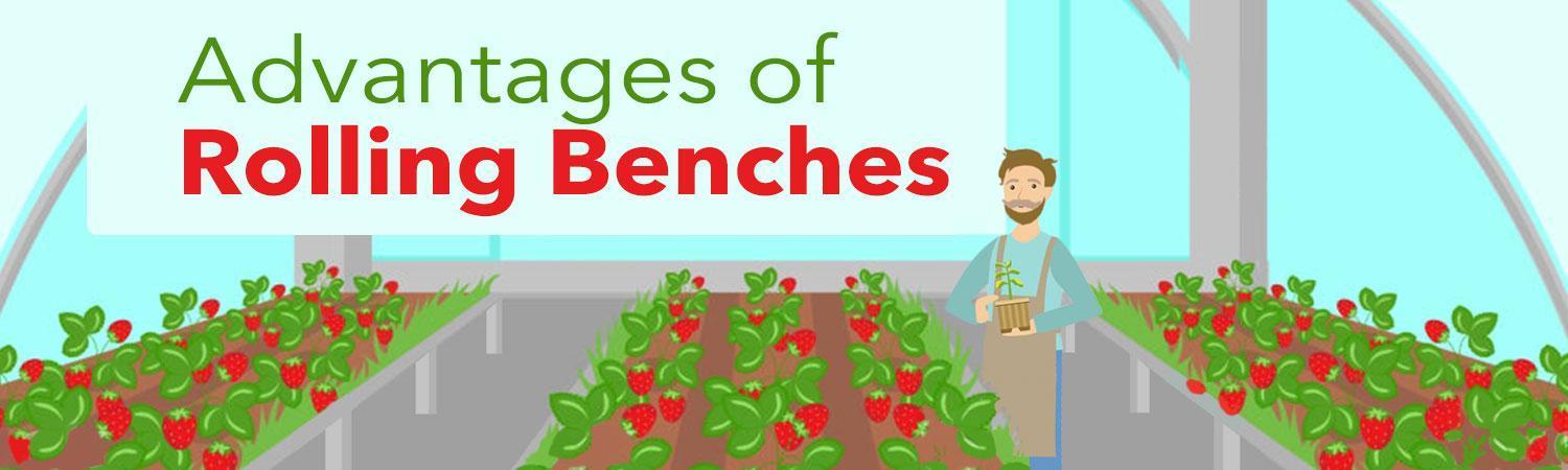 Advantages of Rolling Benches