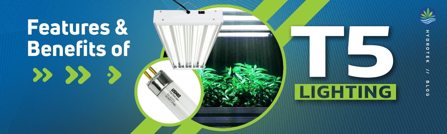 Features & Benefits of T5 Lighting