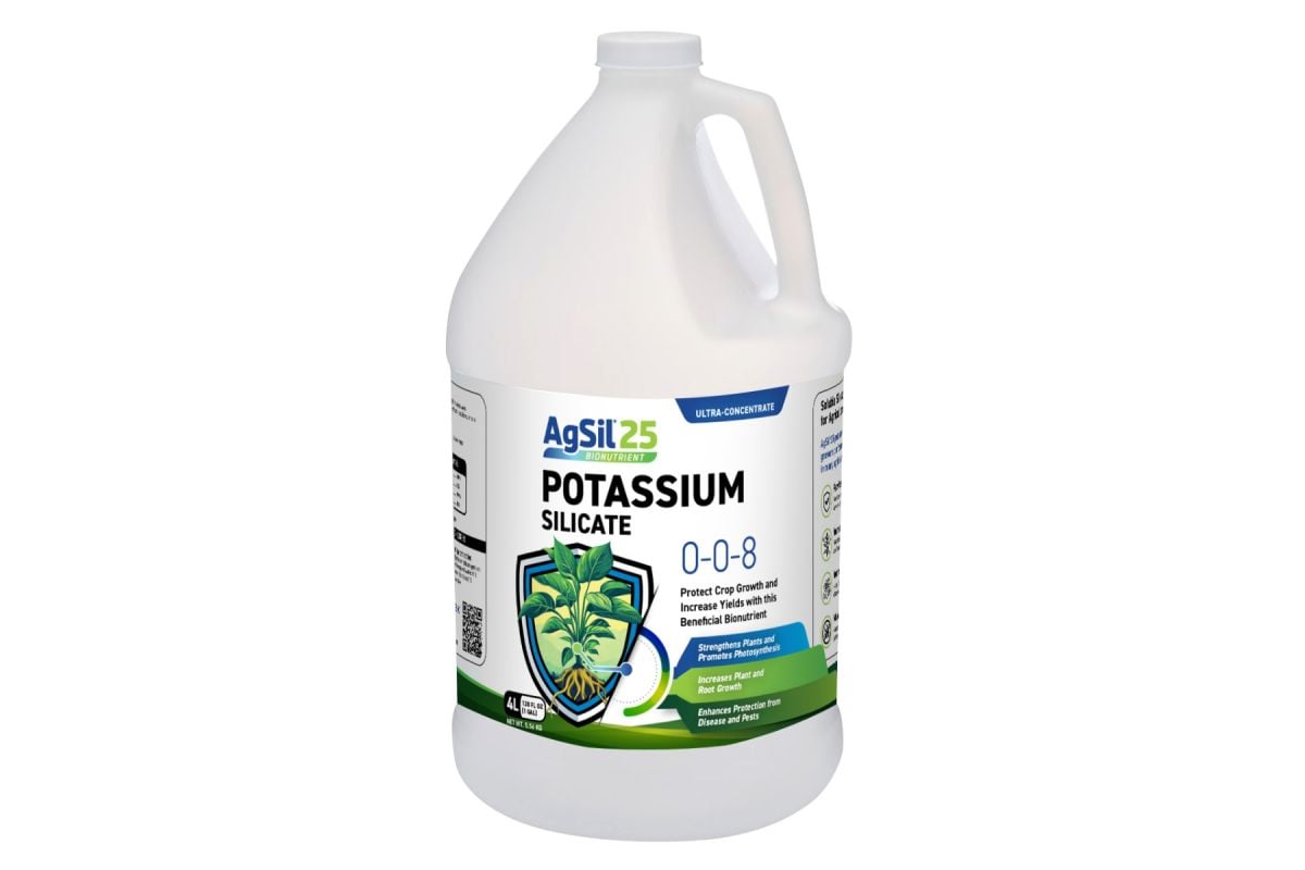 AgSil 25 Potassium Silicate Solution 4L