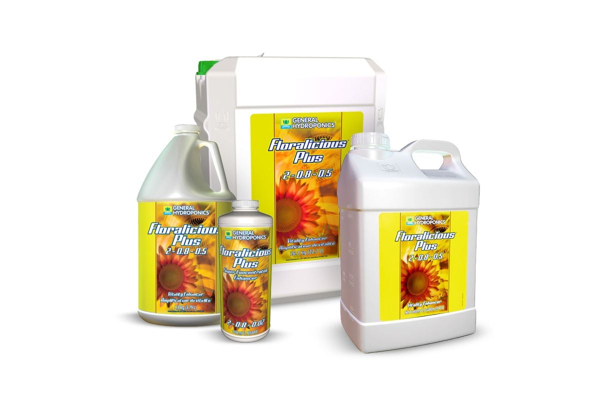 GH Floralicious Plus